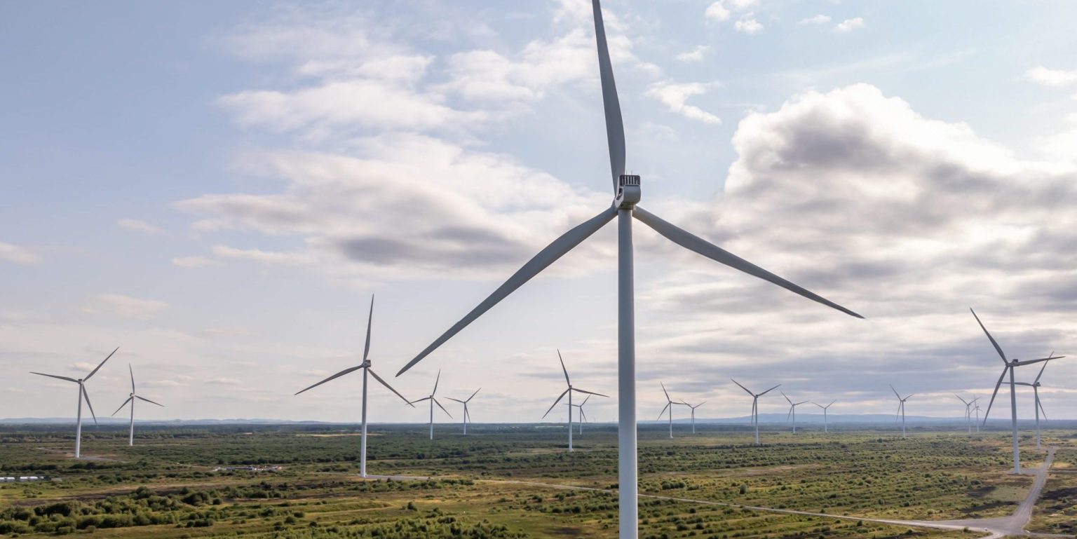 News and Updates - Newsroom | BnM